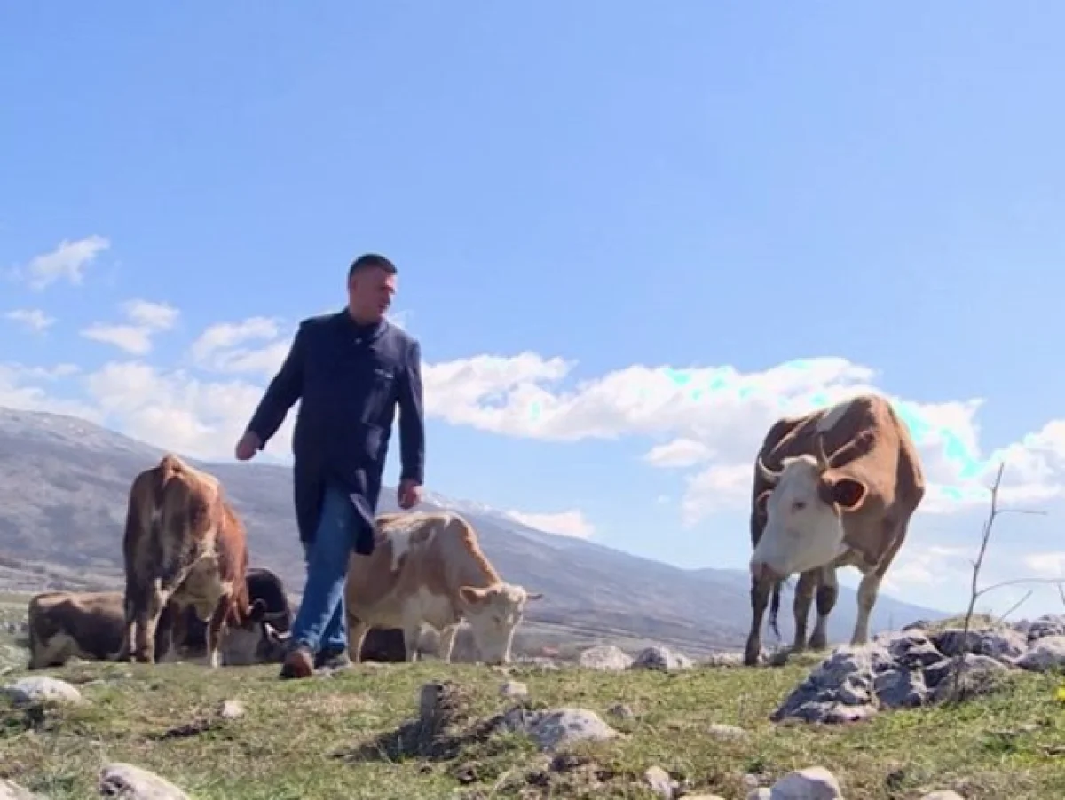 Treća generacija Todorovića obrađuje zemlju i uzgaja stoku na ...